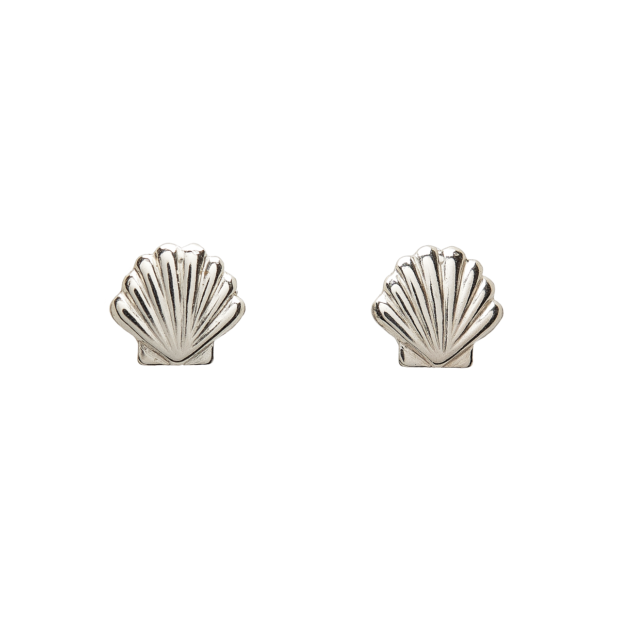 Seashell Stud Earrings – Kenda Kist